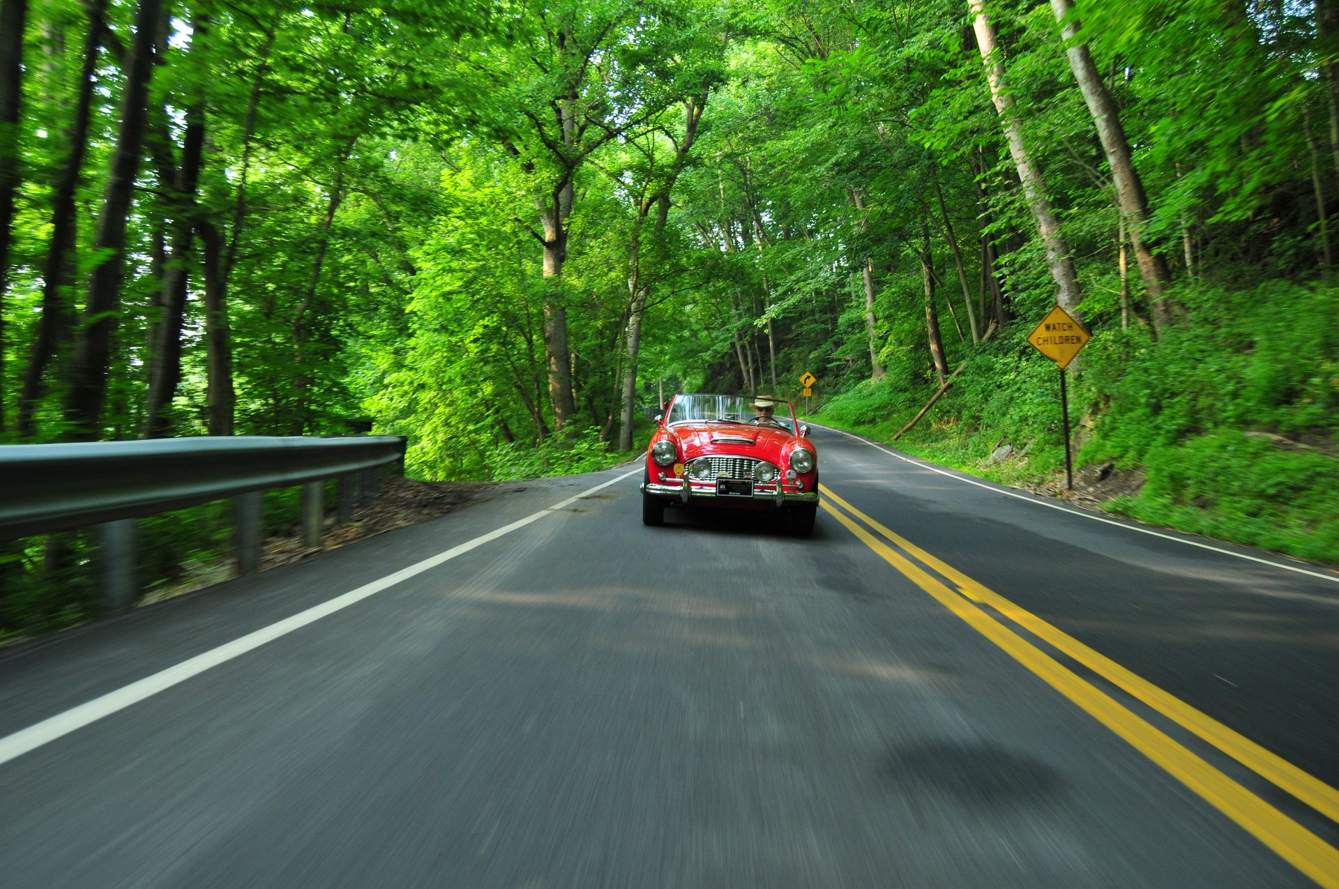 Driving the Car: A Major Symbol of Independence for the Elderly