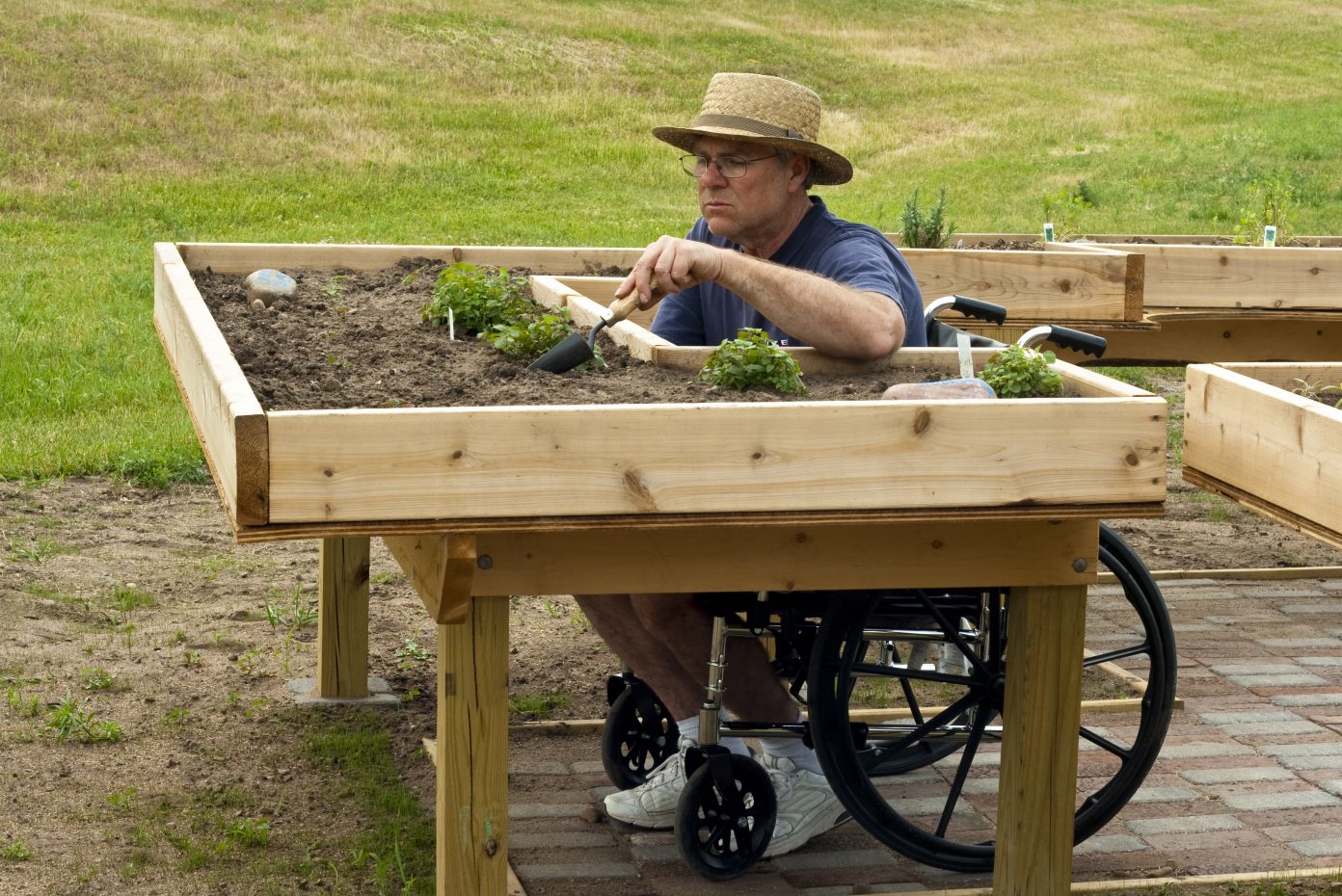 SLM | How Accessible Gardens Can Help Seniors